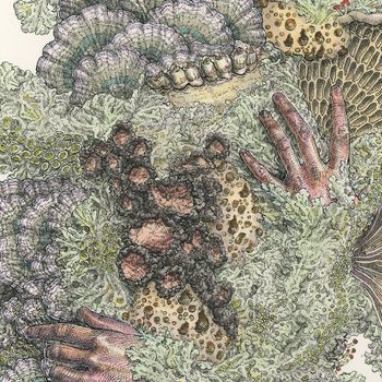 Máquina do Tempo – Pyrithe / Griefbringer / Nathan Gourley And Laura ...